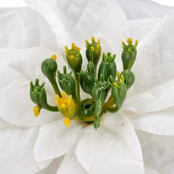 Poinsettia, 60cm, white - Artificial flowers, artificial plants ...